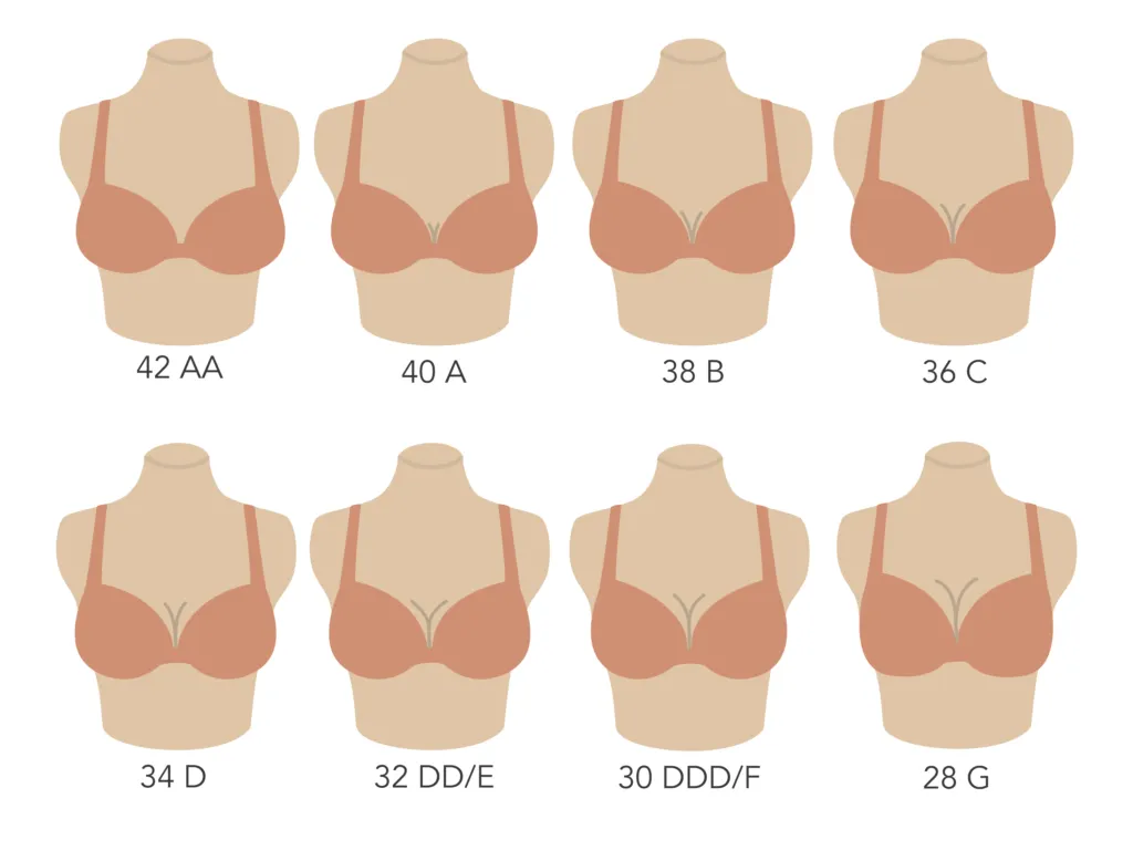 Bust L S o G H ng D n o Ch S Bust Ch nh X c Nh t Bust L S o G H ng D n o Ch S Bust Ch nh X c Nh t